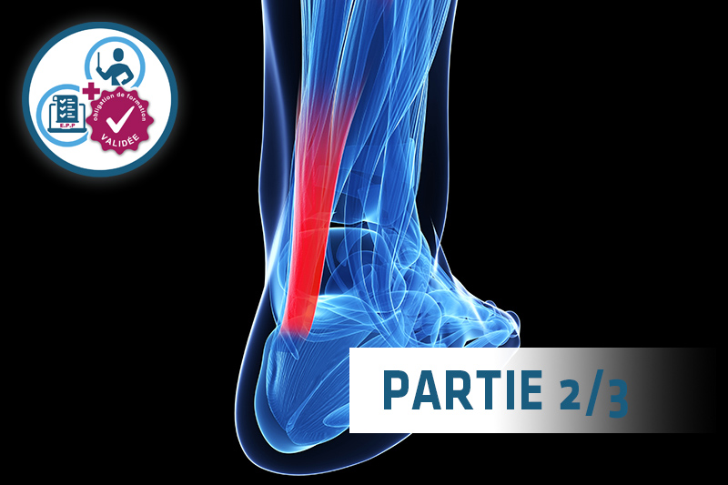Formation Tendinopathie d’Achille #EPP - Partie 2